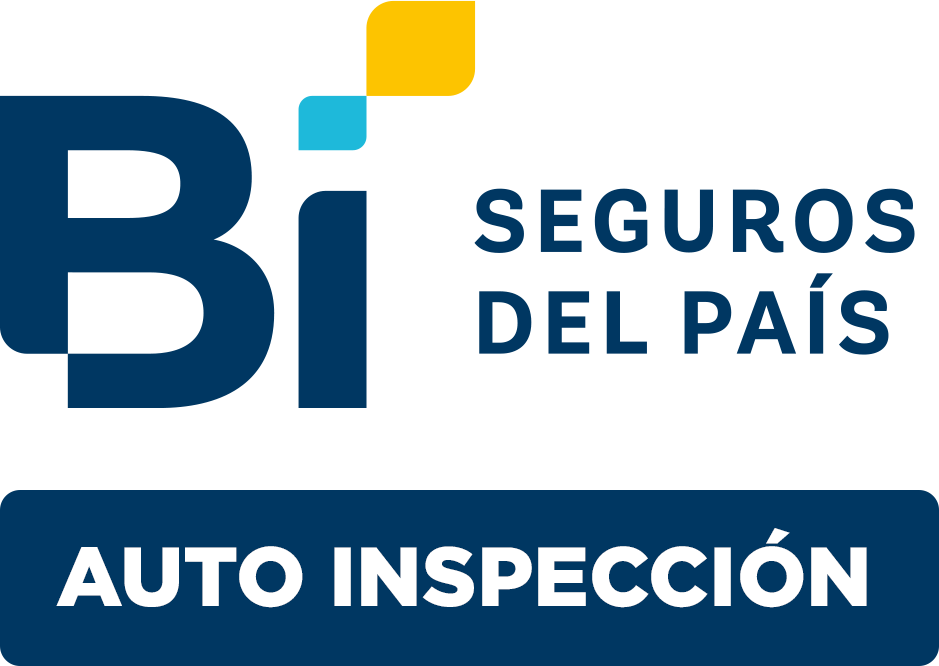 Auto Inspección | Seguros del País